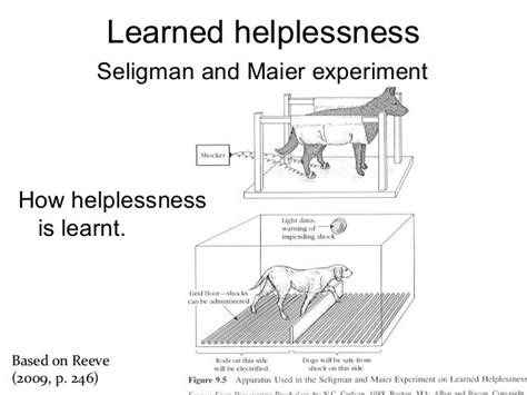 Mindsets Control And The Self