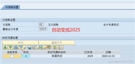 Sap 固定资产期初导入：表 Cumulatedvalues：不允许会计年度 2024（预期：2025） 在会计年度内传送期间只能传送表格