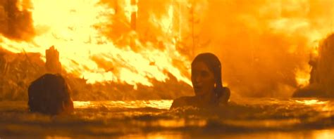 Fire Human Detection Instance Segmentation Model By Fire