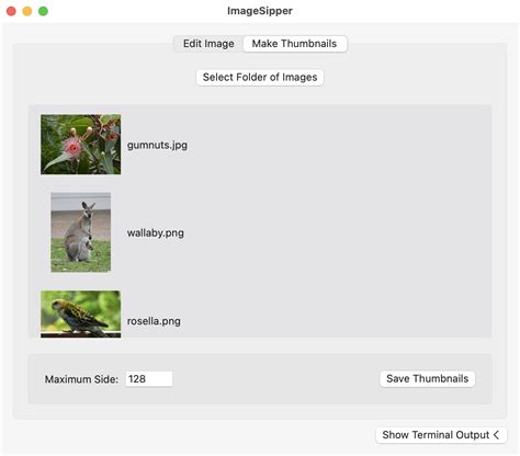 Macos By Tutorials Chapter 13 Adding The Interface Kodeco