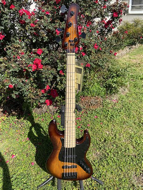 Swing 5 String Bass Sunburst Reverb