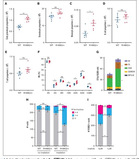 Figure 3 From Runx1 R188q Germ Line Mutation Induces Inflammation And