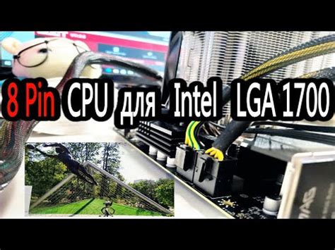 Intel Cpu Alder Lake