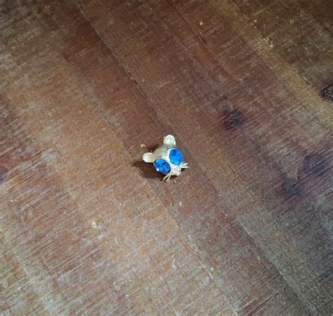 Vintage Nemo Gold Tone Mouse With Blue Eyes Brooch Pin Gem