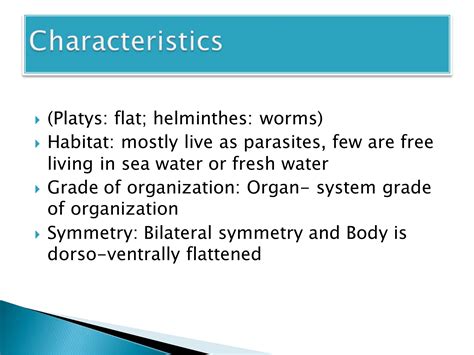 Phylum Platyhelminthes Characteristics And Classification Pdf