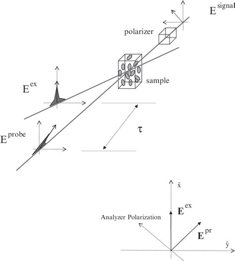 Figure 21 From Chapter 2 Optical Kerr Effect Experiments On Complex Liquids A Direct Access To