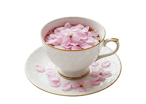 Teacup With Cherry Blossom Teacup Flowers Cherry Blossom White
