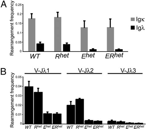 Ig λ Light Chain Gene Rearrangements Are Reduced By Ebf1 Download Scientific Diagram
