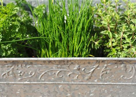 Embossed Galvanised Metal Window Trough Small Gardens Hanging Vertical Planter Windowsill Plants Embossed Galvanised Metal Window Trough Small Gardens Hanging Vertical Planter Windowsill Plants