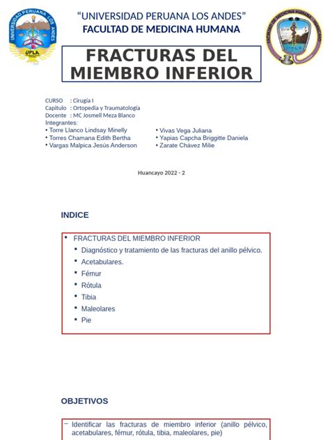 Tema 4 B4 Fracturas Del Miembro Inferior Pdf Pelvis Tobillo