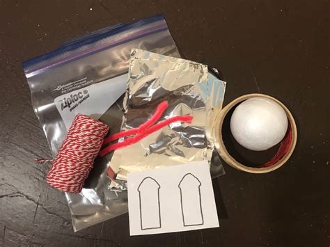 Engineering A Model Of The Reproductive System Learn Build Teach