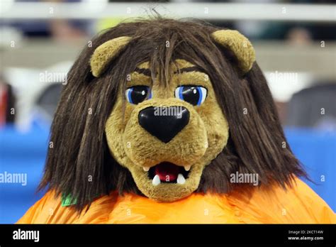 Lions Mascot Roary