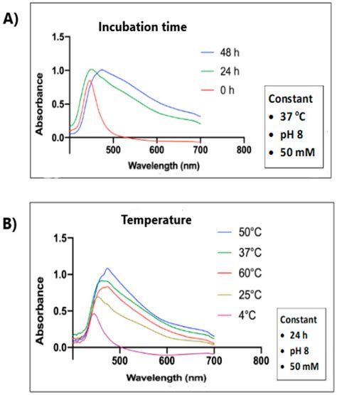 Plant Extracts For Production Of Functionalized Selenium Nanoparticles
