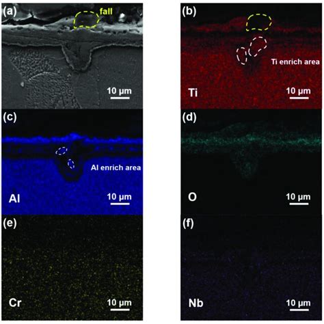 The Eds Element Mapping Of The Cross Section For Hp30 After Oxidation