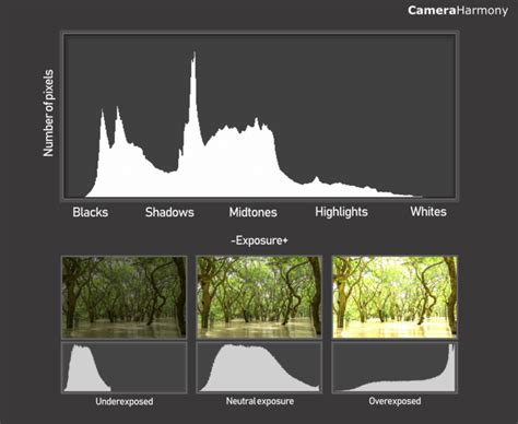 Histogram Equalization With Opencv And Python Sigmoidal