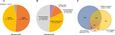 Epilepsy Associated Genes An Update Seizure European Journal Of Epilepsy