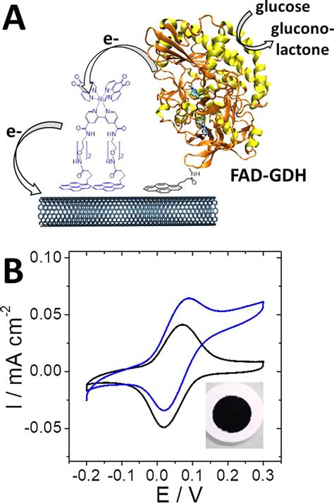 A Rupeg‐functionalized Mwcnt Electrode With Immobilized Fad‐gdh B Download Scientific