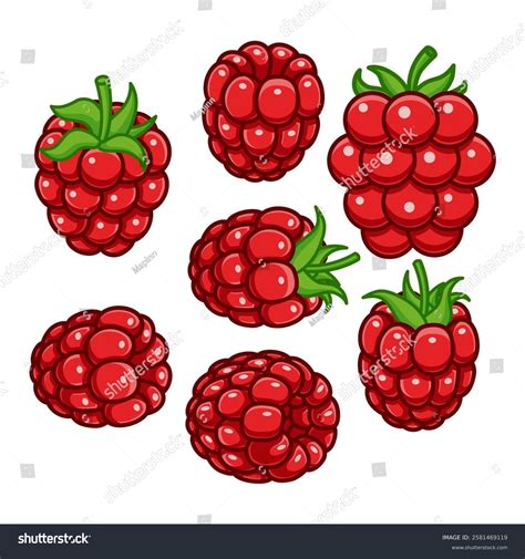 Different Types Raspberry Including Sliced Pieces Stock Vector Royalty Free 2581469119