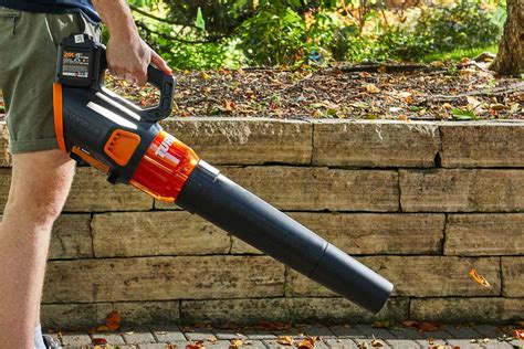 Leaf Blower Names