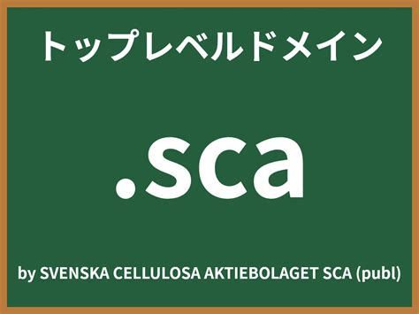 Scaドメインとは トップレベルドメイン辞典 Metapedia