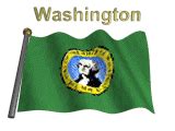 Washington Flag In Animated S