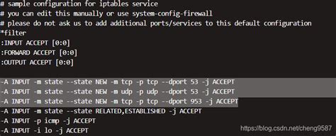 linux下搭建dns服务器及踩坑 no non localhost dns nameservers are left in resol csdn博客