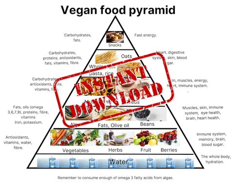 Vegan Food Pyramid Poster Plant Based Diet Printable Pdf File Etsy