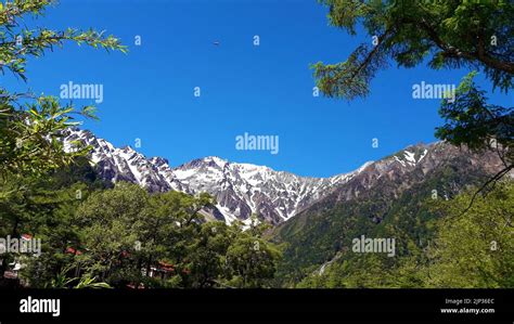 A Beautiful Landscape Of Green Trees And Mountains Of Kamikochi Resort