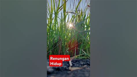 Quotes Teman Shinyo 90 Youtube