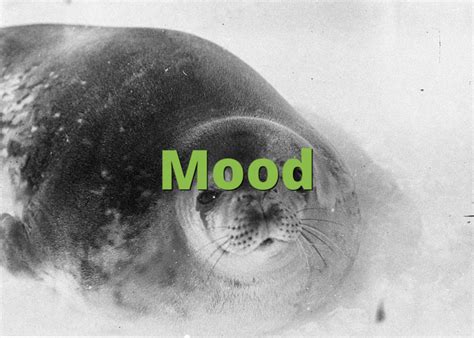 Mood Meaning