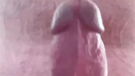 Gans Gruber Gay Porn Videos Sex Model Nudes Xhamster