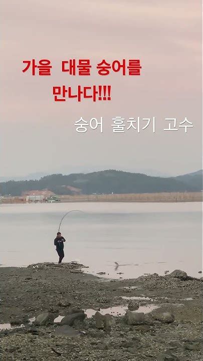 살이 가득 오른 숭어 훌치기 Youtube