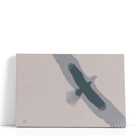Double Eagle Flight Giclee Print Photography By Nathan Larson