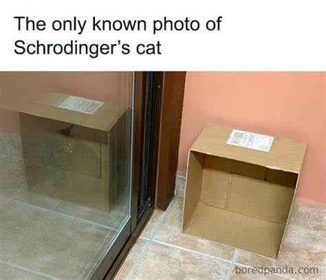 Science Cat Meme Physics