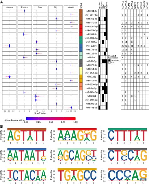 Predictive Modeling Of Oocyte Maternal Mrna Features For Five Mammalian