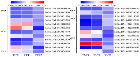 Transcriptome Analysis Of Potato Leaves Under Oxidative Stress