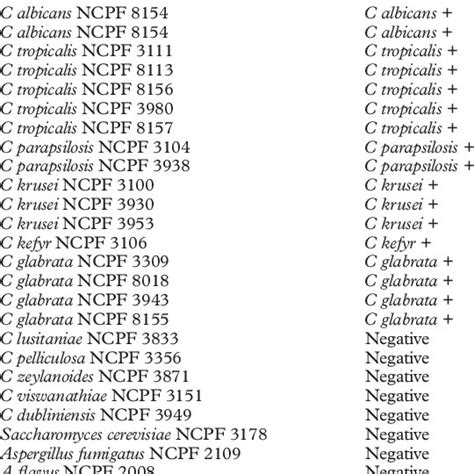 Species Tested Against All Primerprobe Sets Download Table
