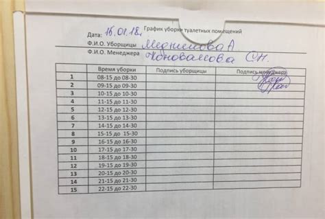 Program De Curățenie Magazin Toaletă Intrare Spații Tratament General și Sanitar