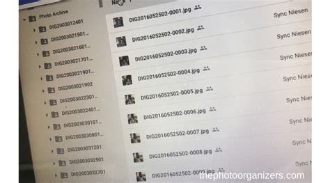 The Name Game Why File Numbers Matter When It Comes To Organizing Photos The Photo Organizers