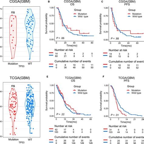 Age Distribution In Tp53 Mutation Status In Primary Gbm A And D No