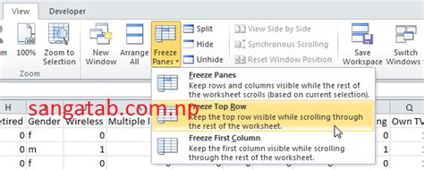Freeze Pane In Excel Sangitab Blog Collection Of Audio Books EBooks News Information