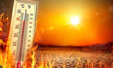 Organisation Hausse De La Température Mondiale De 14 Degré Celsius