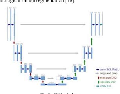 figure 2 from preoperative image segmentation for organ visualization