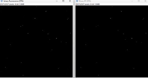 ELI5 Linear Stack Alignment With SIFT Image Analysis Image Sc Forum