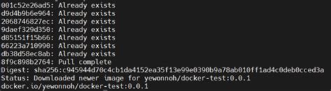 Docker 도커 이미지를 이용하여 컨테이너 실행하기