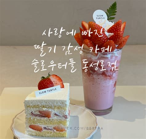 갬성 돋는 대구 딸기 케이크 전문점 슬로우터틀 동성로점 네이버 블로그