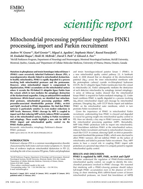 Pdf Mitochondrial Processing Peptidase Regulates Pink1 Processing Import And Parkin Recruitment