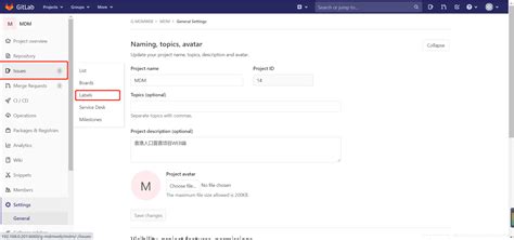 【git】如何修改gitlab的项目标签 gitlab 修改项目标识串 csdn博客