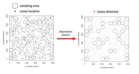 Quantitative Ecology In Practice Estimating Bird Density Using Sparse Count Data And