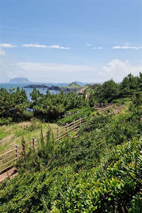 Ultimate Jeju Island Road Trip Itinerary 5 Day Itinerary